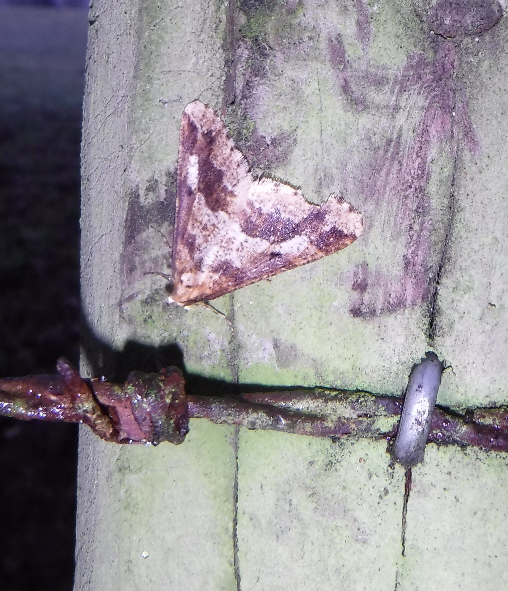 Nature Notes December 2019 | Little Barton Farm Wildlife Notes | News| KFC