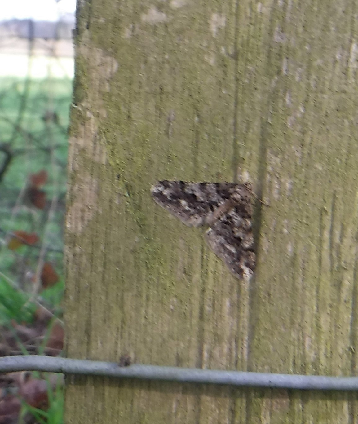 Nature Notes January 2020 | Little Barton Farm Wildlife Notes | News| KFC