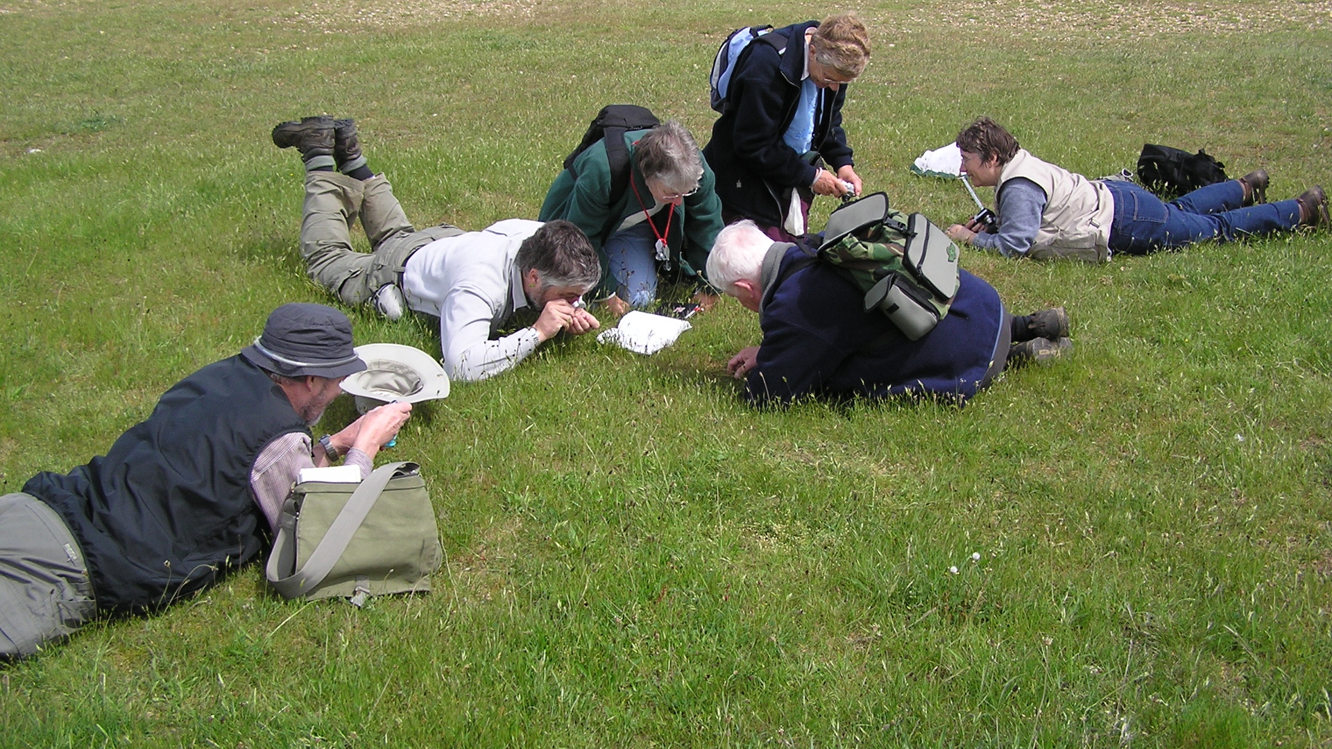 Home - Kent Field Club